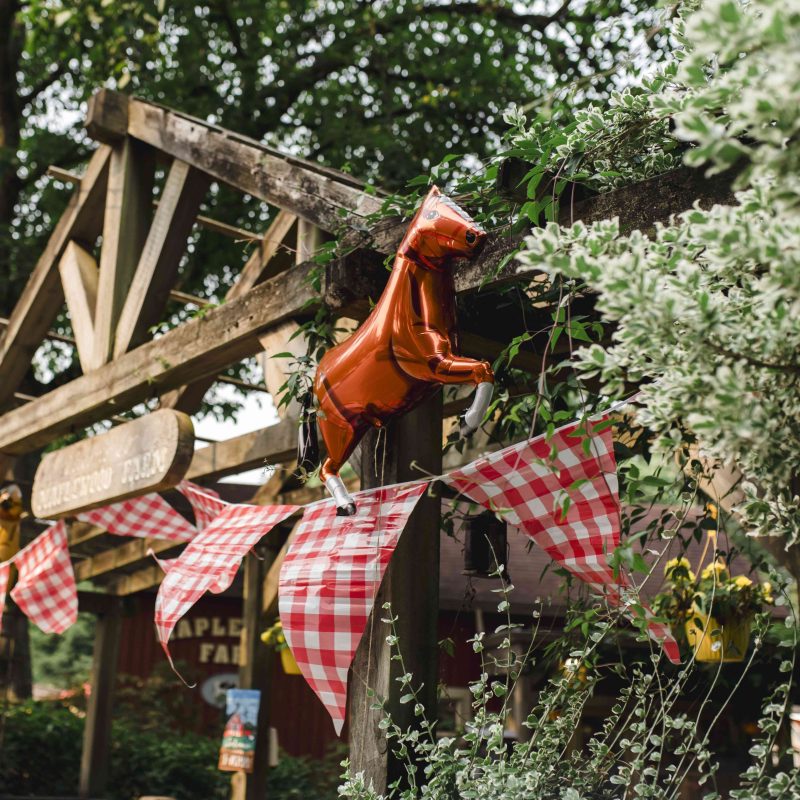 North Vancouver Attractions | Kids Activities | Maplewood Farm - Fun ...