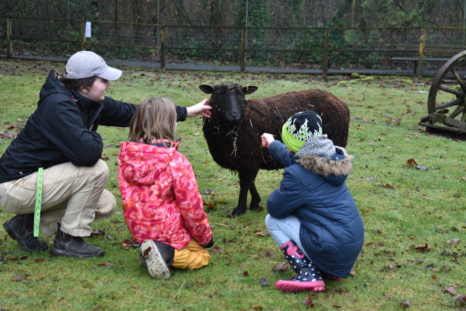 North Vancouver Attractions | Kids Activities | Maplewood Farm - Fun ...